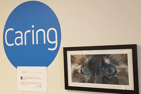 Geisinger Health Plan