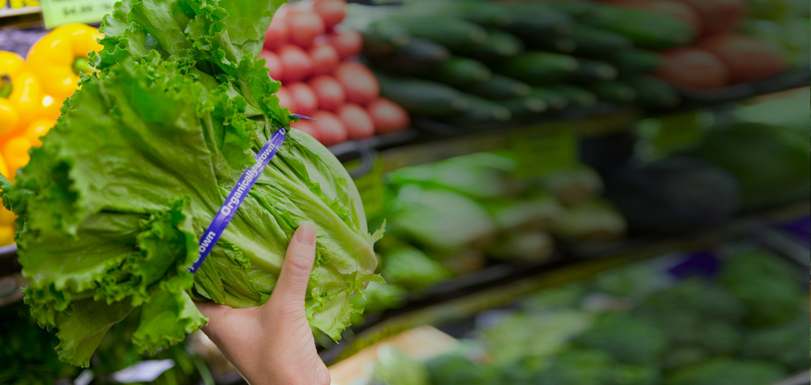 Fresh Food Farmacy